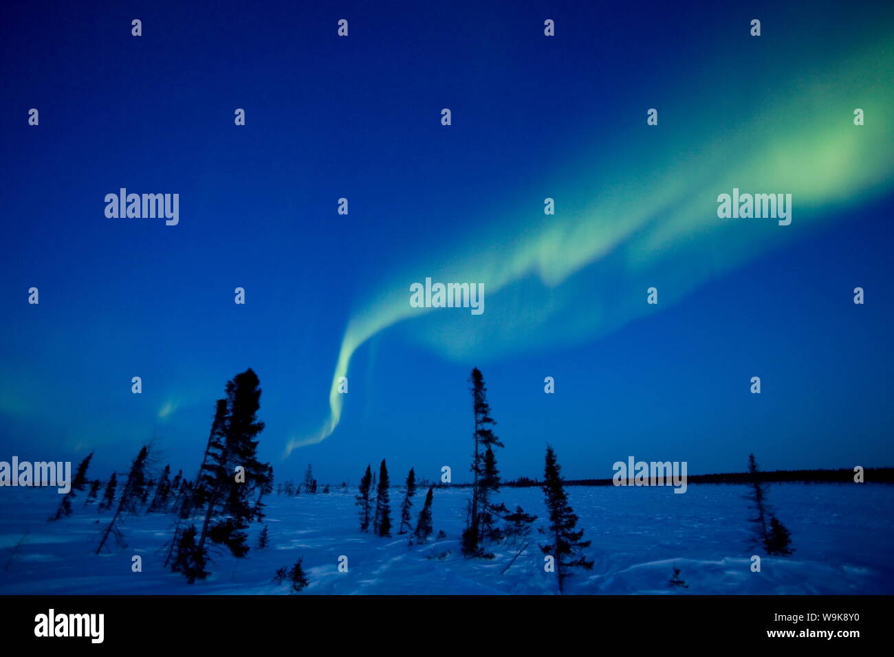 Churchill collection hi-res stock photography and images - Alamy