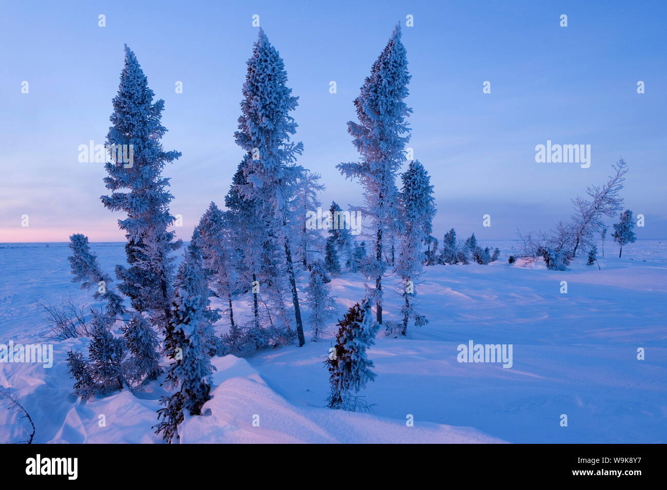 Churchill collection hi-res stock photography and images - Alamy