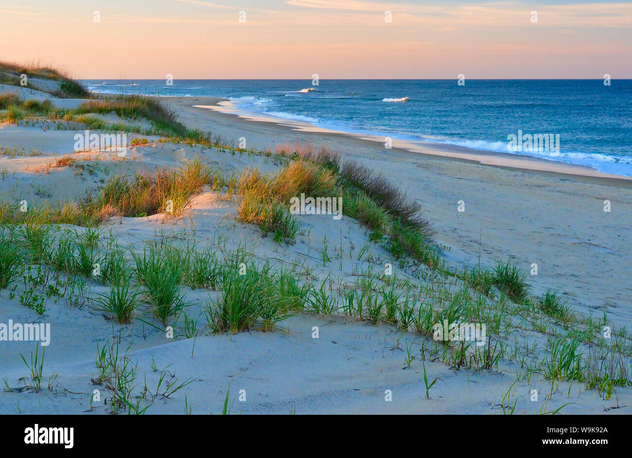 Coquina beach hi-res stock photography and images - Alamy