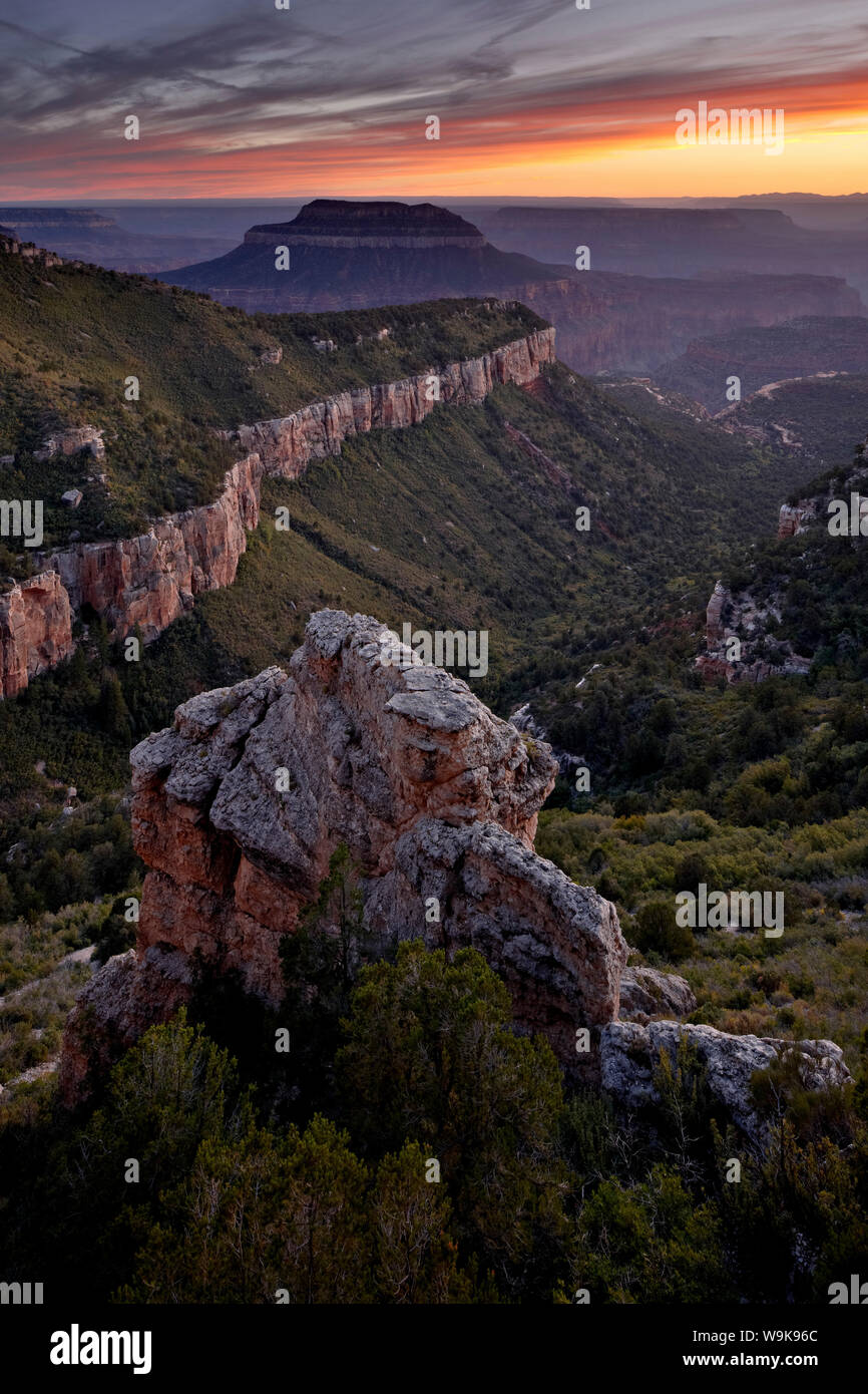 Locust point hi-res stock photography and images - Alamy