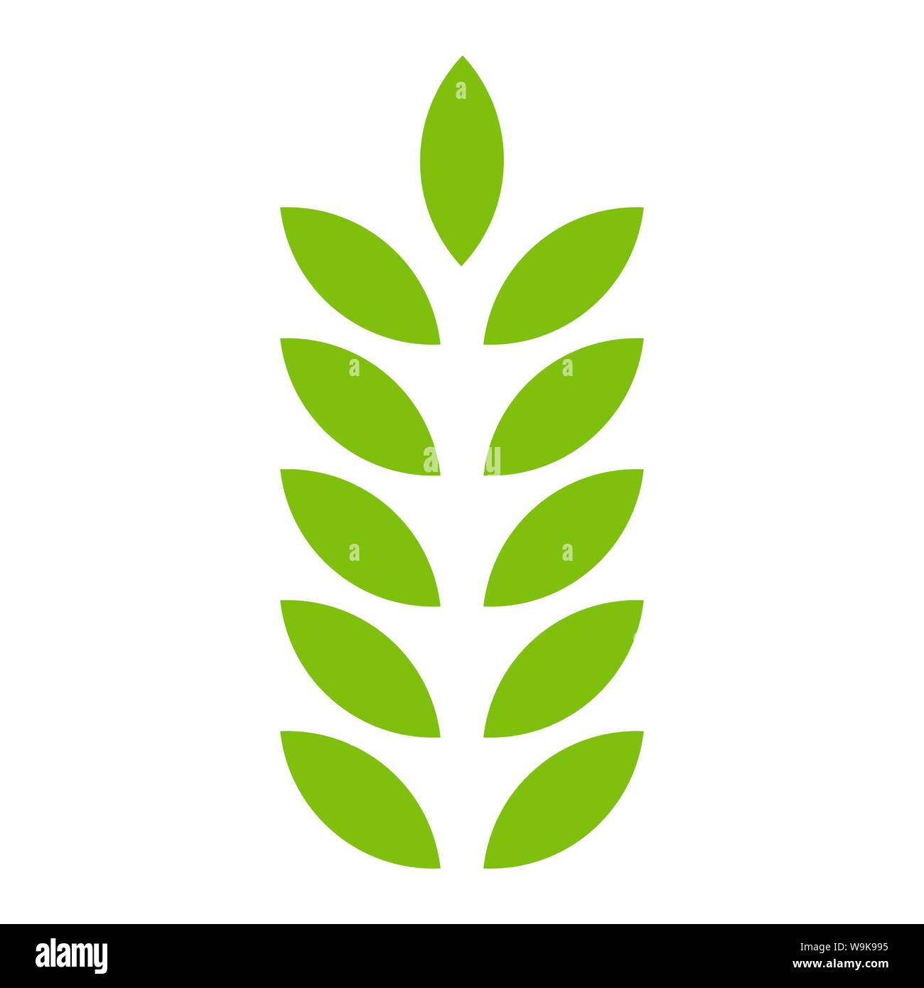 Cereals icon set with rice, wheat, corn, oats, rye, barley sign ...