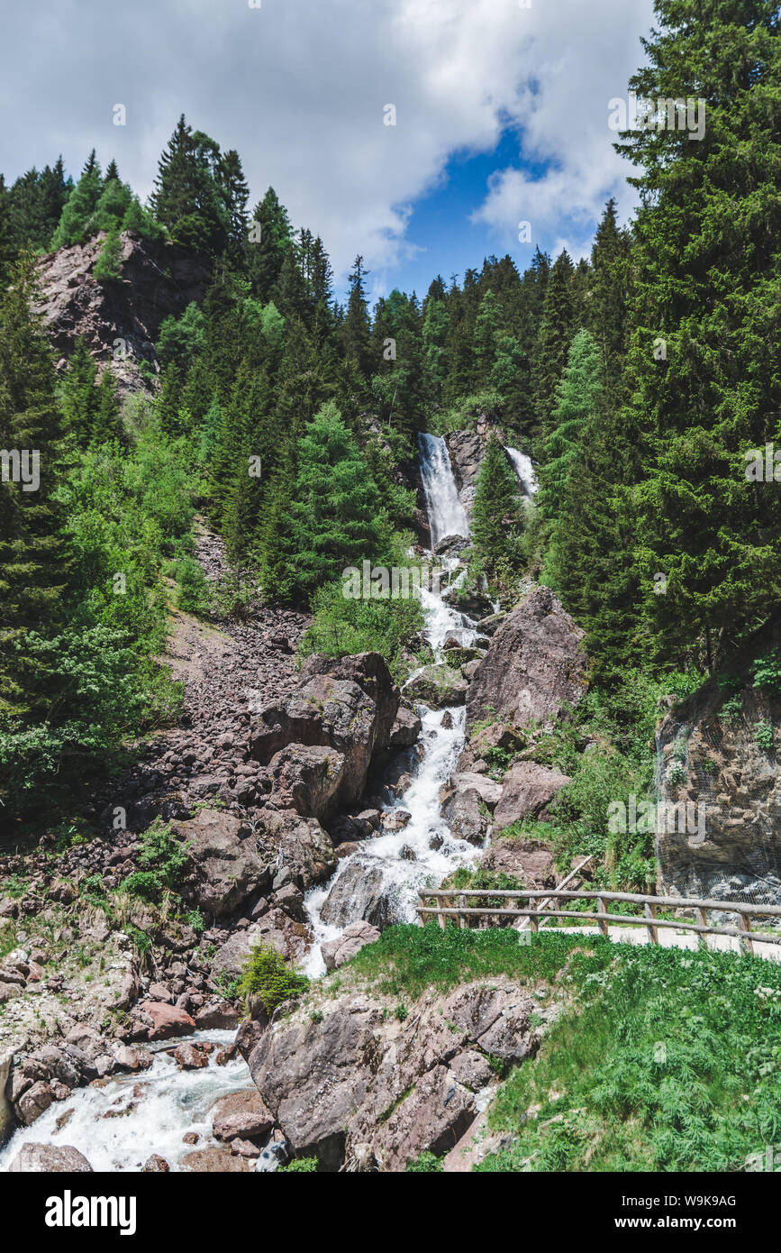 waterfall view in forest mountains with fir trees landscape Stock Photo ...