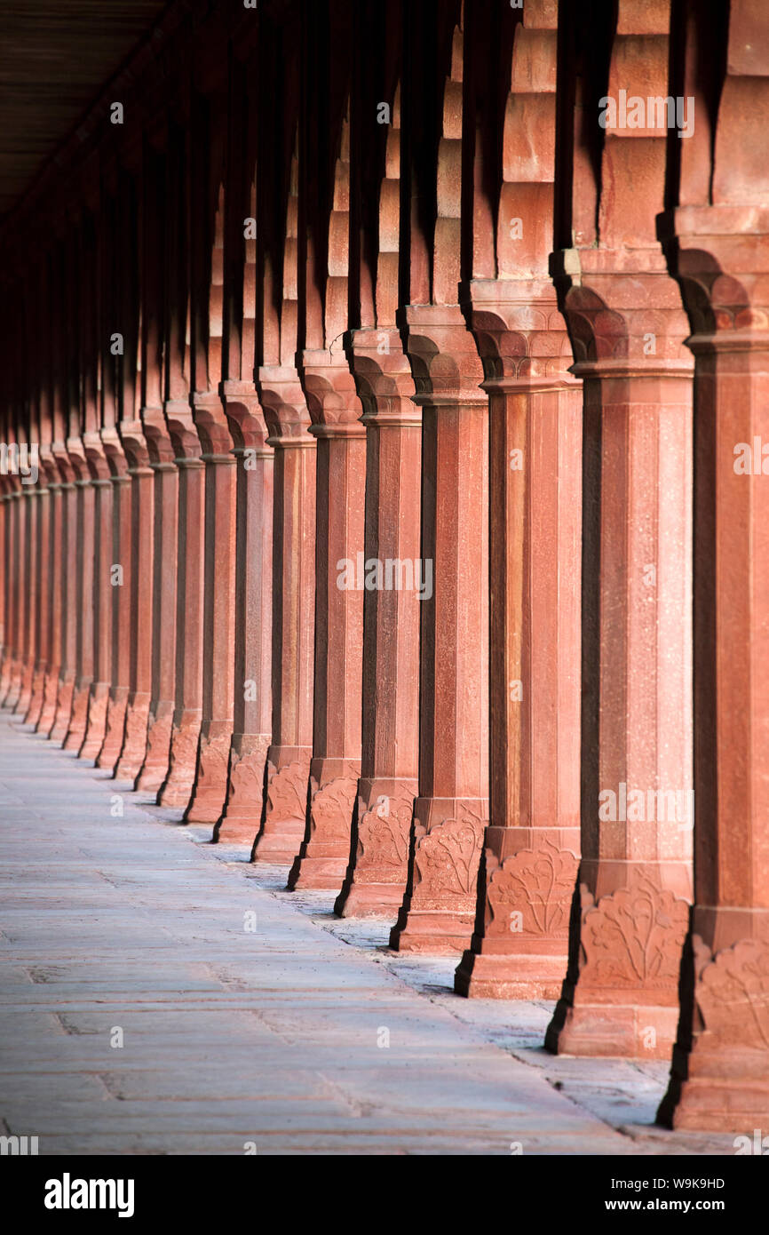 Red sandstone columns, Taj Mahal, UNESCO World Heritage Site, Agra ...