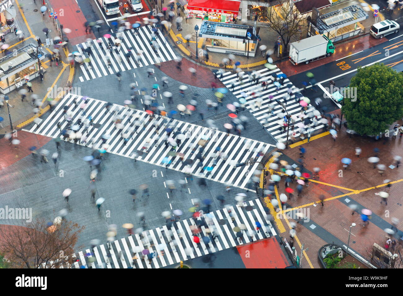 Aerial view of crowds crossing the famous Shibuya Crossing crosswalks, Shibuya, Tokyo, Japan ...
