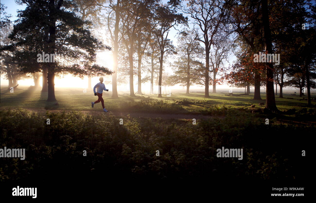 Early morning runner, Richmond Park, London, England, United Kingdom ...