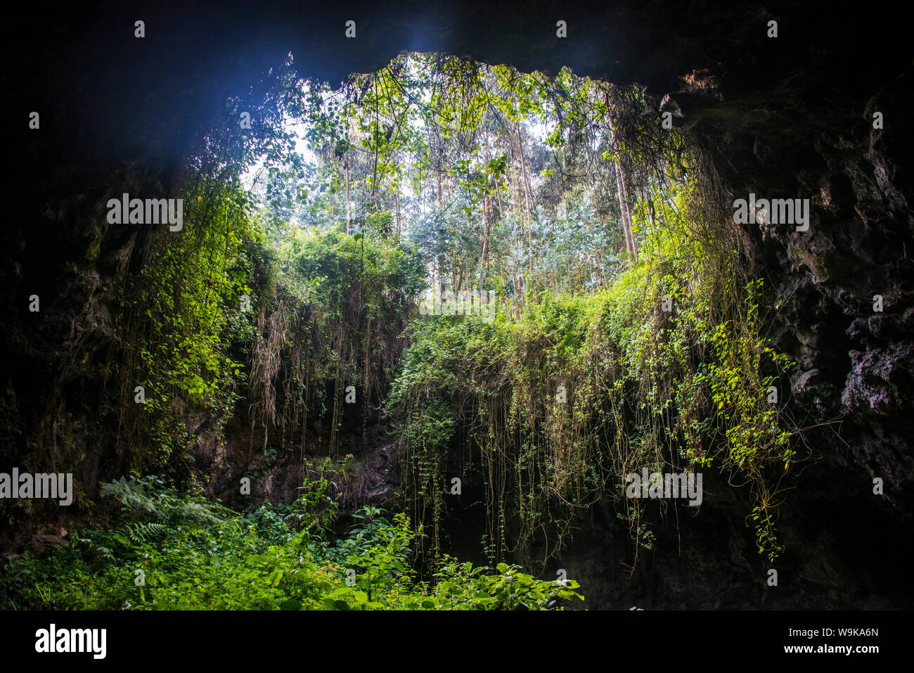 Cave system in the Virunga National Park, Rwanda, Africa Stock Photo ...