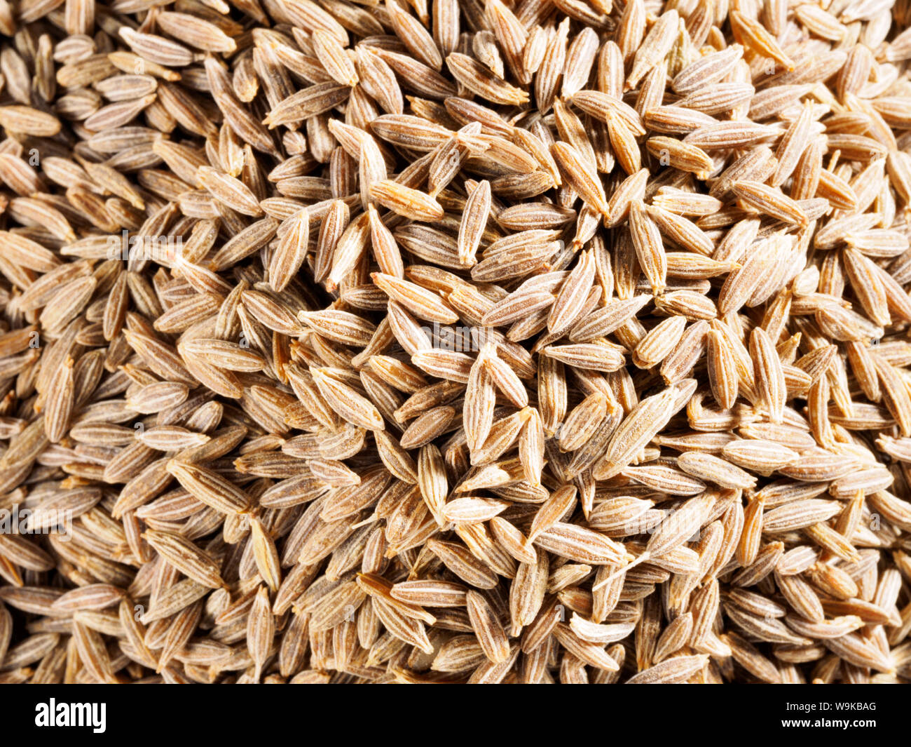 Jeera seeds hi-res stock photography and images - Alamy