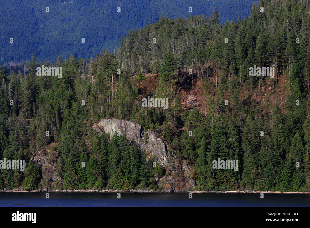 Port alberni trees hi-res stock photography and images - Alamy