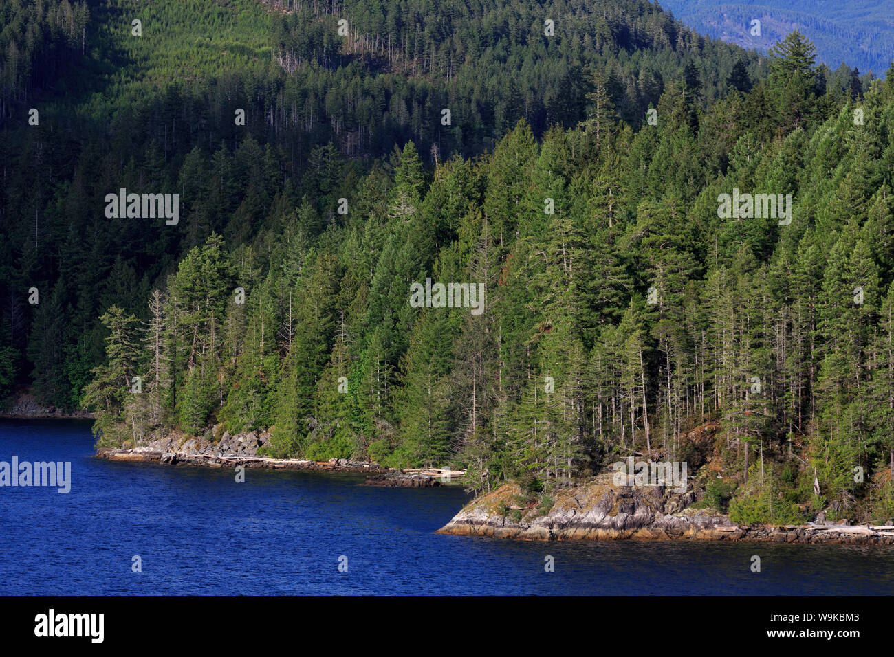 Port alberni trees hi-res stock photography and images - Alamy