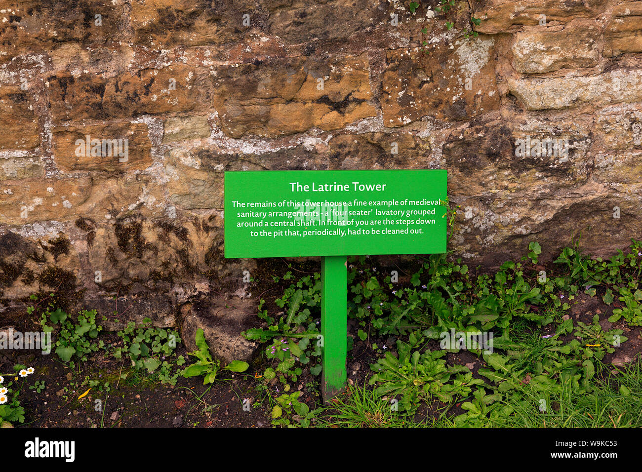 What Is A Latrine Tower at Murray Brock blog