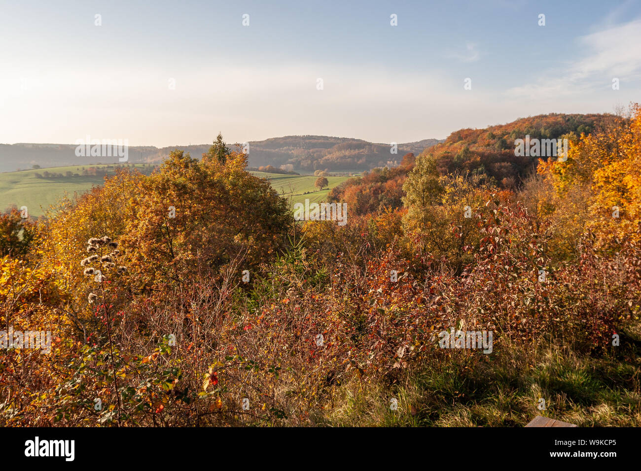 Walk over an old mining area in automn Stock Photo - Alamy