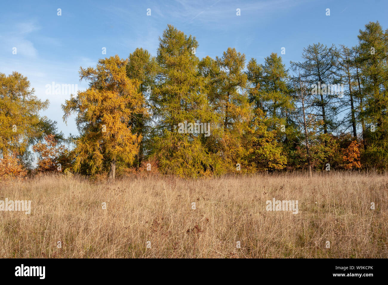 Walk over an old mining area in automn Stock Photo - Alamy
