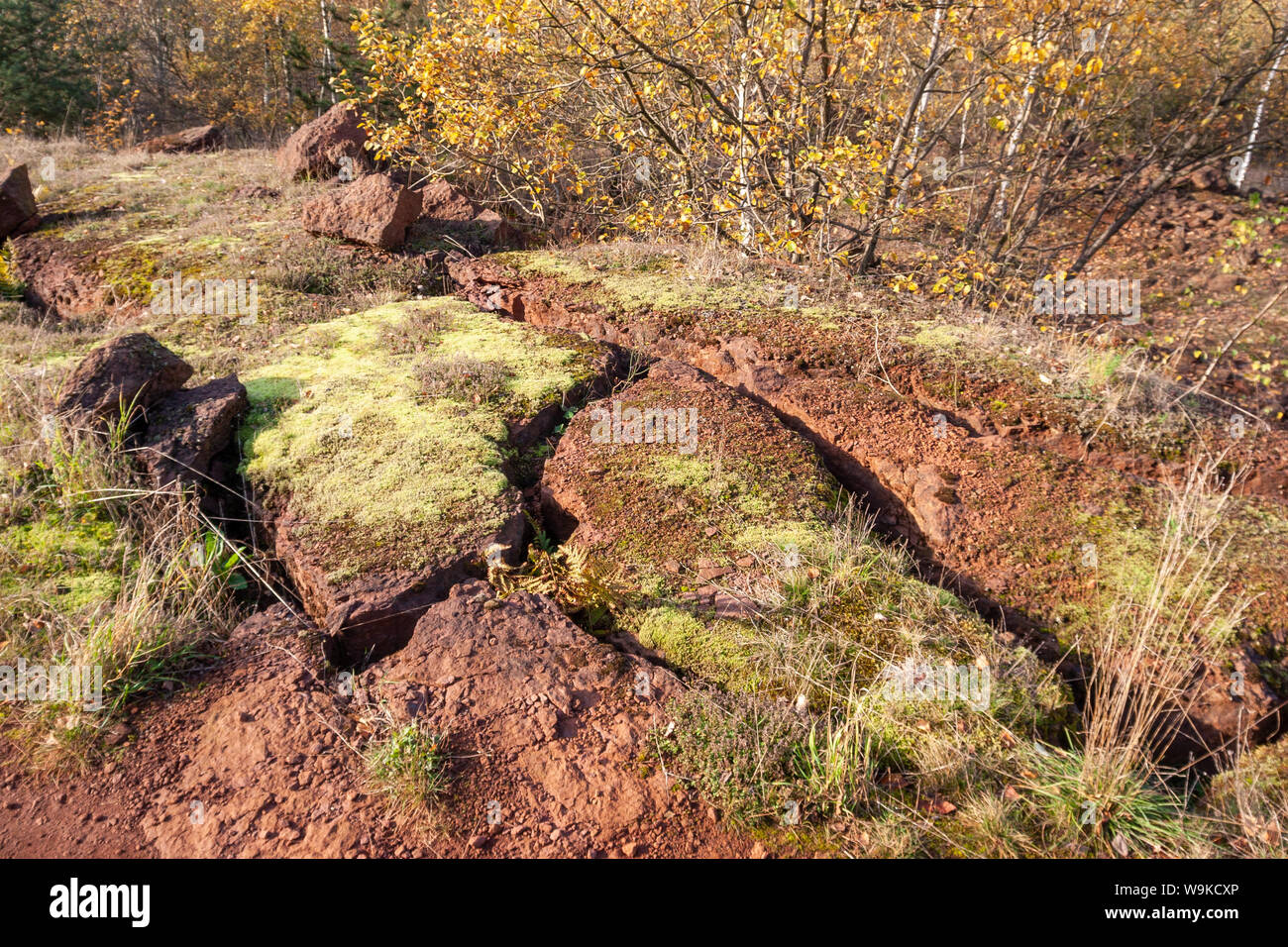 Walk over an old mining area in automn Stock Photo - Alamy