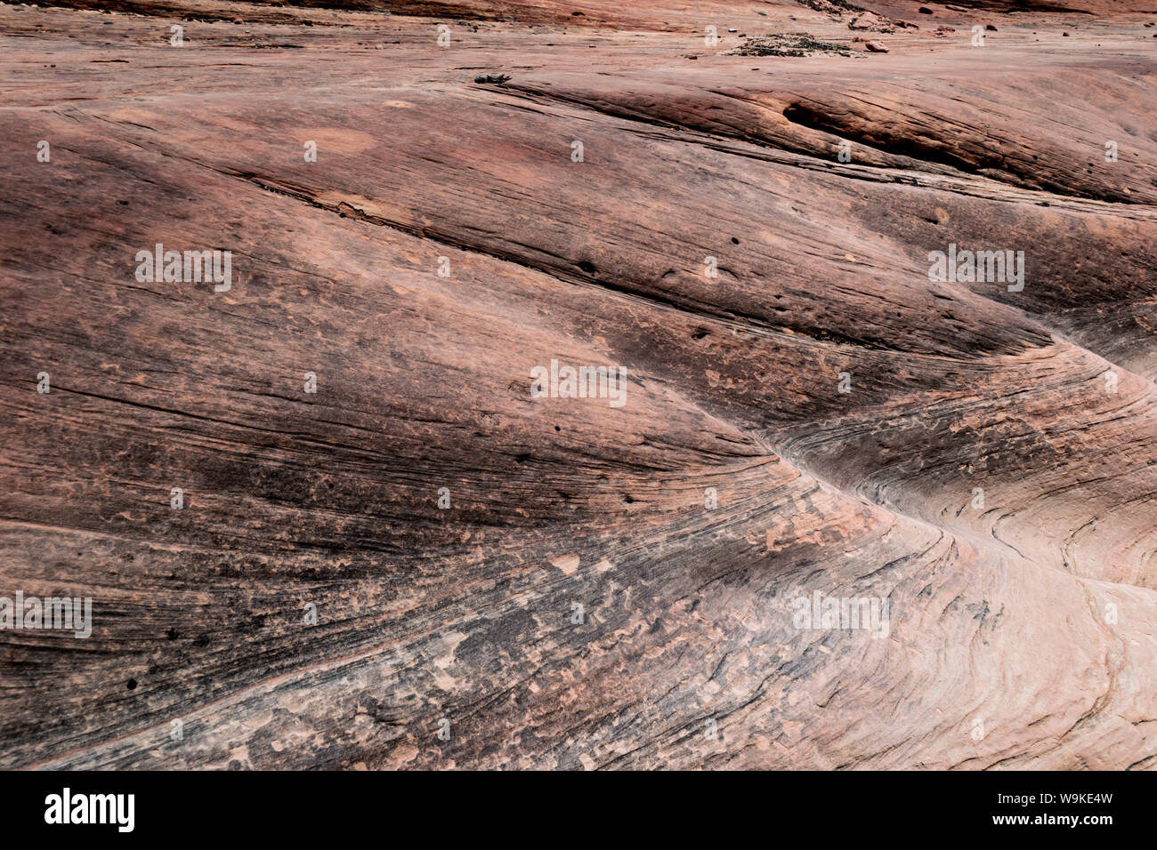 abstract close up of wavy pattern of slick rock Stock Photo - Alamy