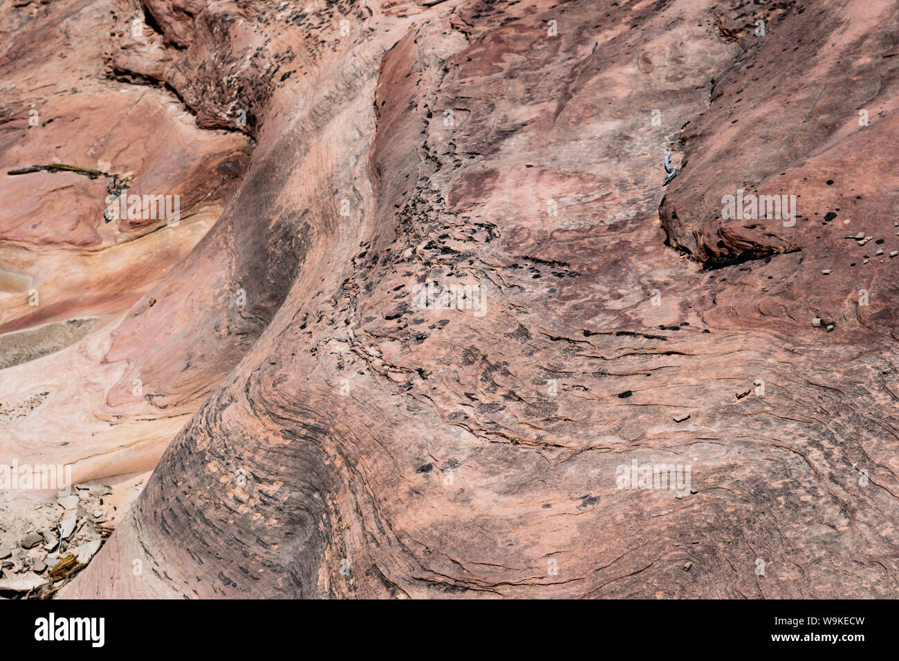abstract close up of wavy pattern of slick rock Stock Photo - Alamy