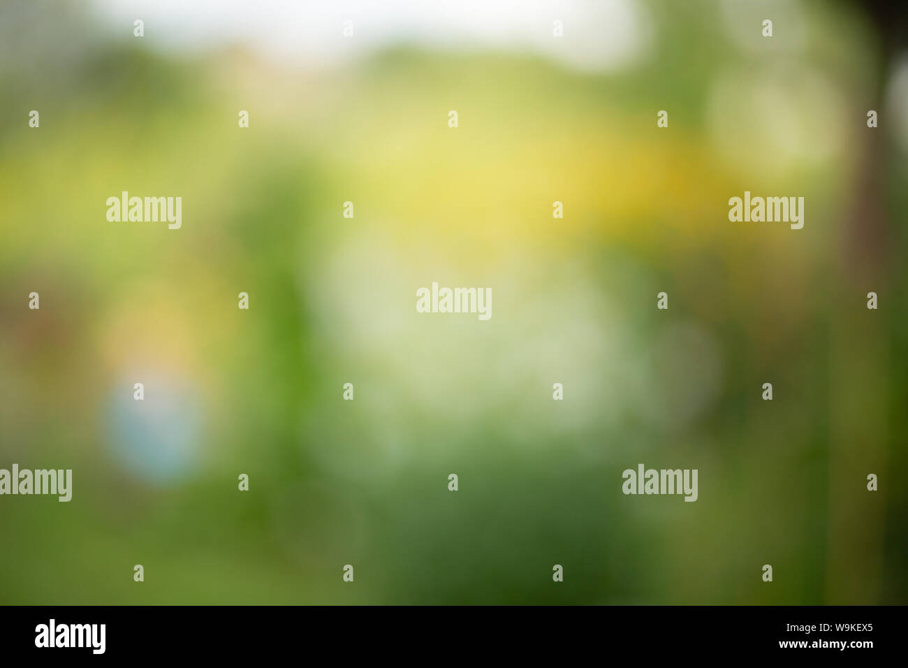 Blurry green background summer theme and nature Stock Photo - Alamy