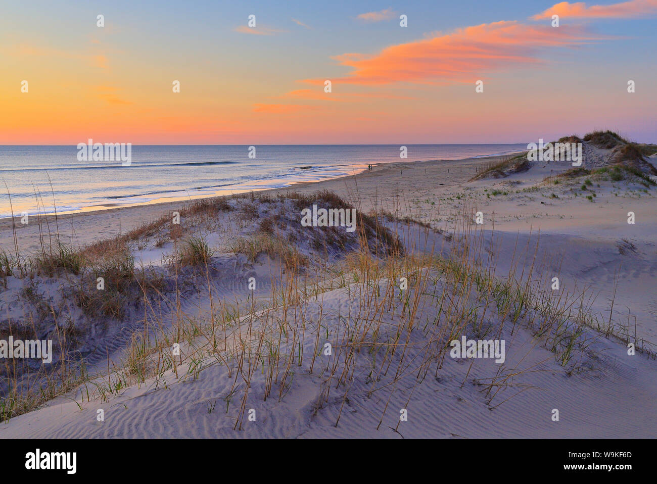 Coquina beach hi-res stock photography and images - Alamy