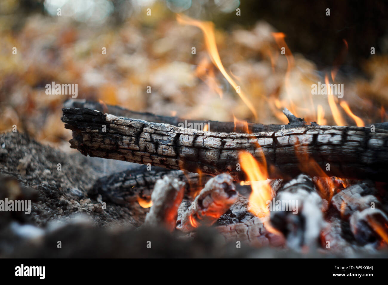 Campfire burning log wood twigs hi-res stock photography and images - Alamy