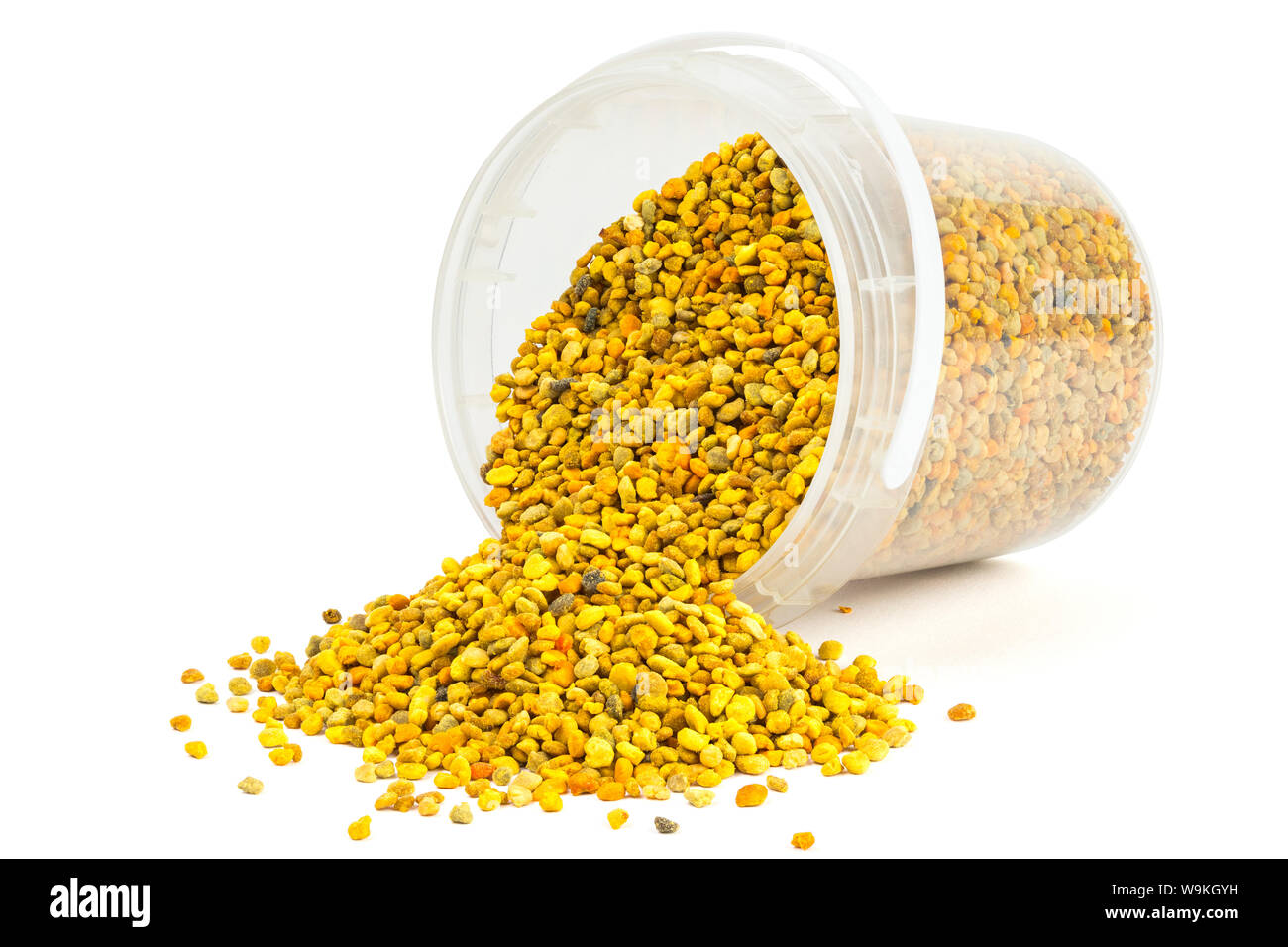 bee pollen granules in small plastic container isolated on white ...
