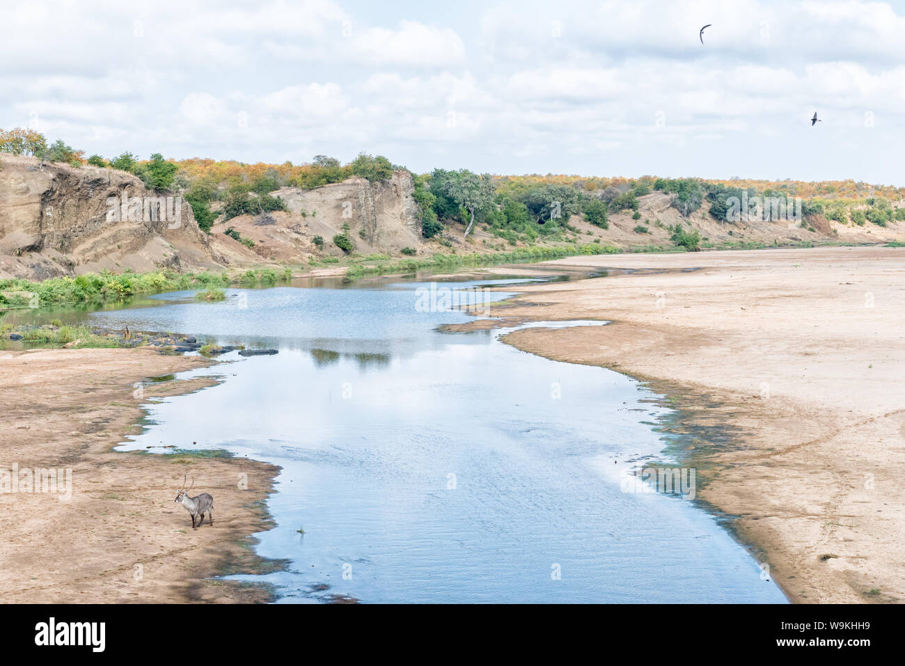 Letaba river hi-res stock photography and images - Alamy