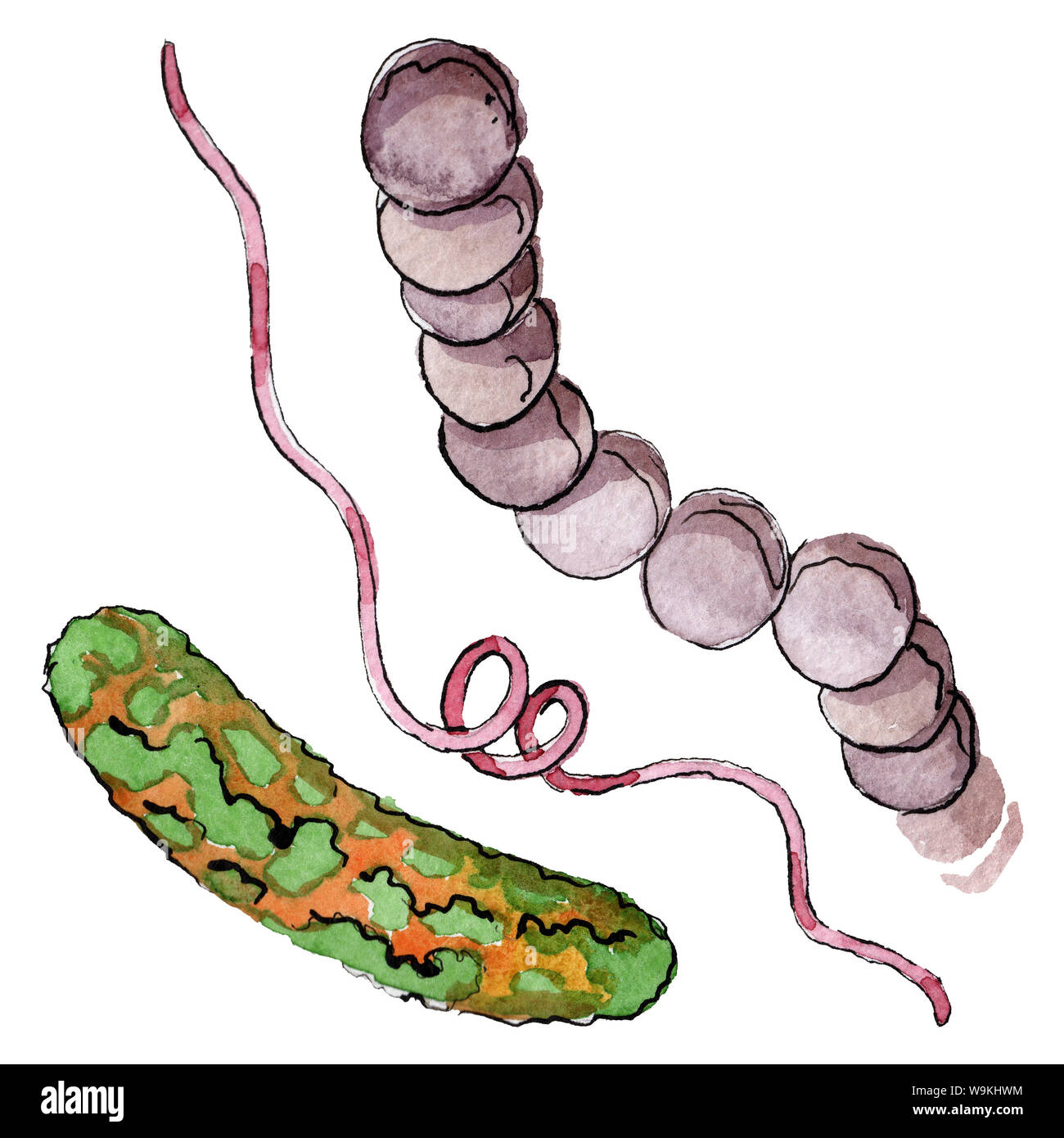 Microbe or germ hand drown illustration. Watercolor background ...