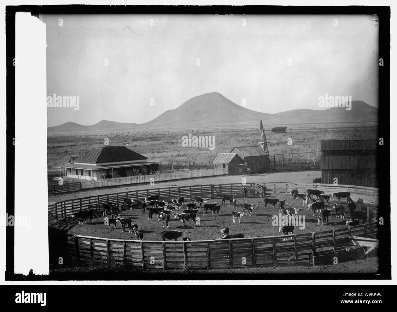 An American ranch in Mexico Stock Photo - Alamy