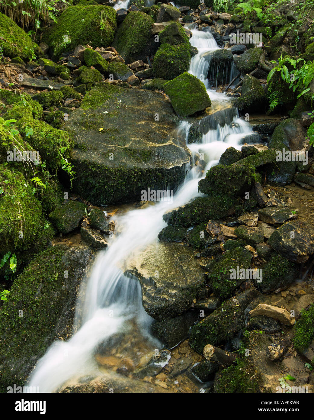Babbling brook hi-res stock photography and images - Alamy