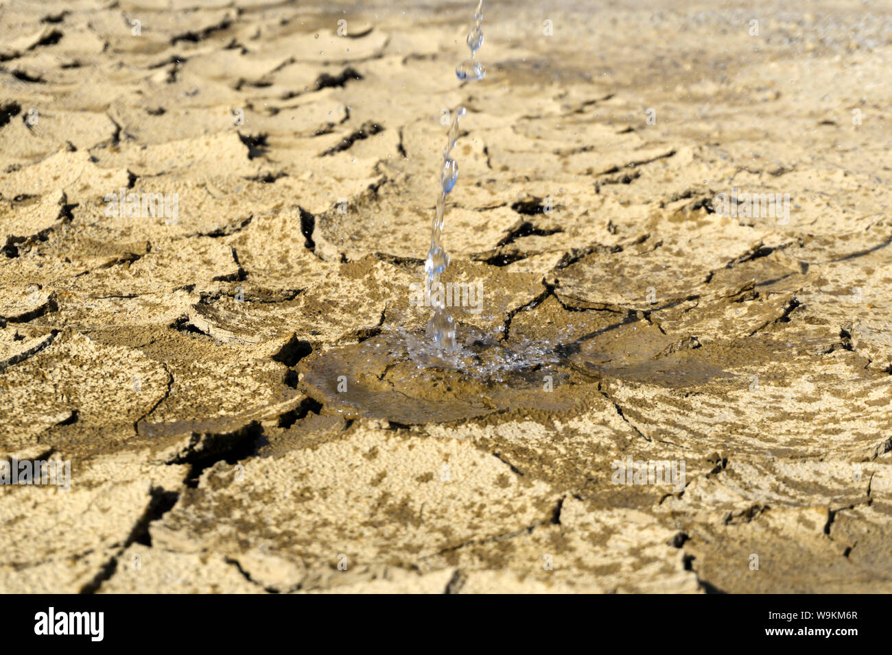 Trickle down economy hi-res stock photography and images - Alamy