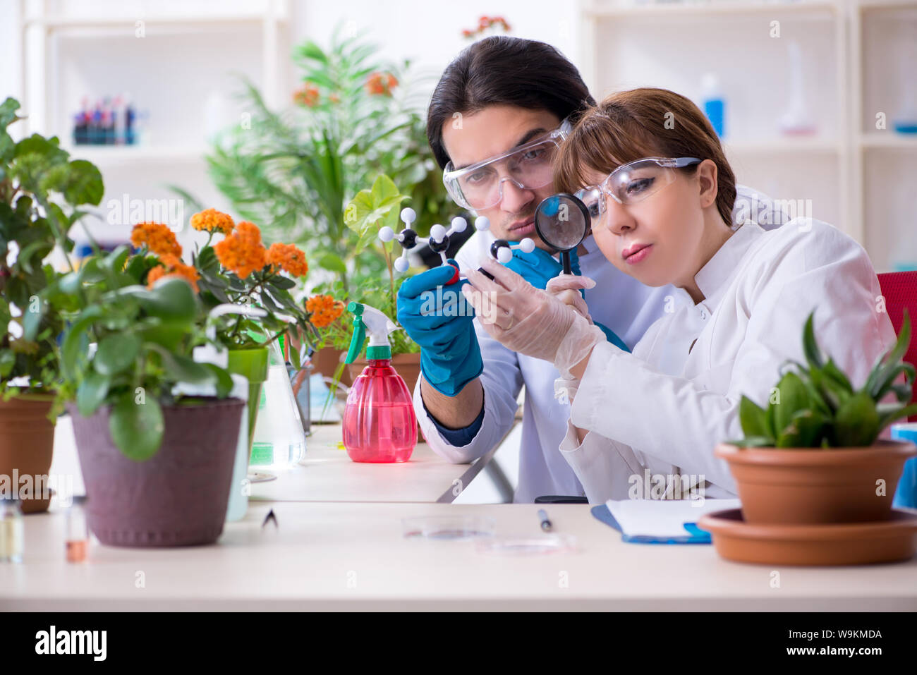 The two young botanist working in the lab Stock Photo - Alamy