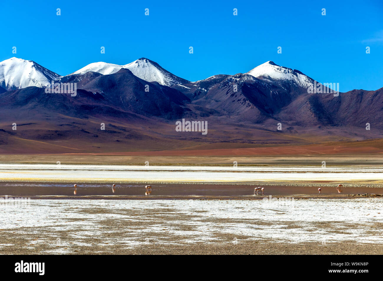 Uyuni salt plains hi-res stock photography and images - Alamy