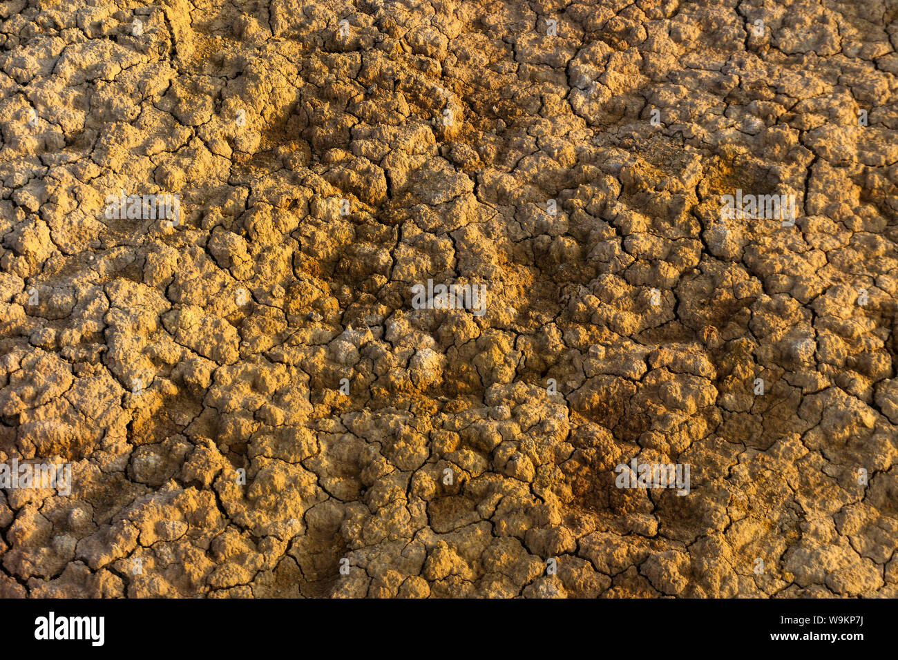 background, texture - cracks in dry clay bumpy soil Stock Photo - Alamy