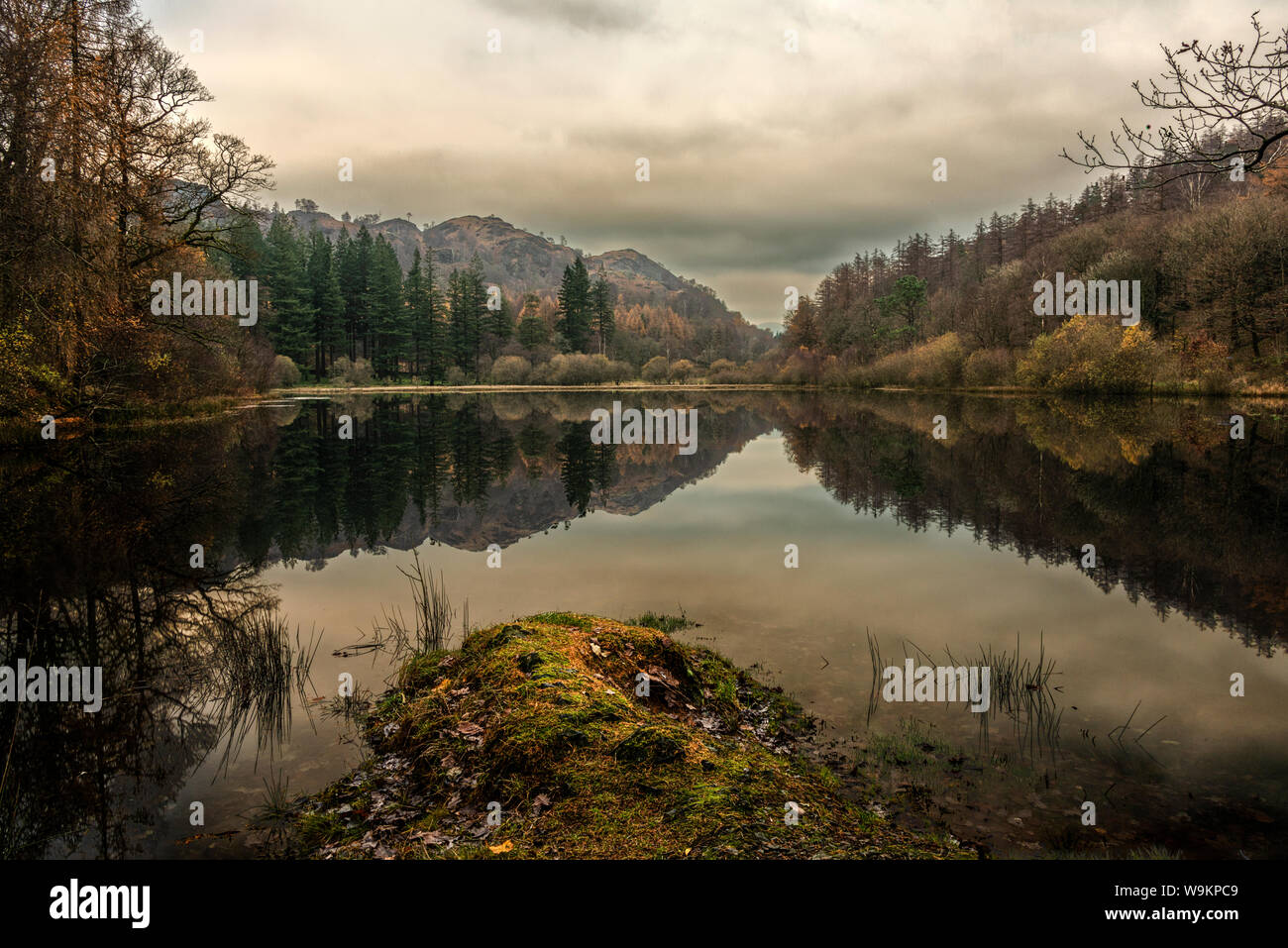 Yew Tree Tarn Stock Photo - Alamy