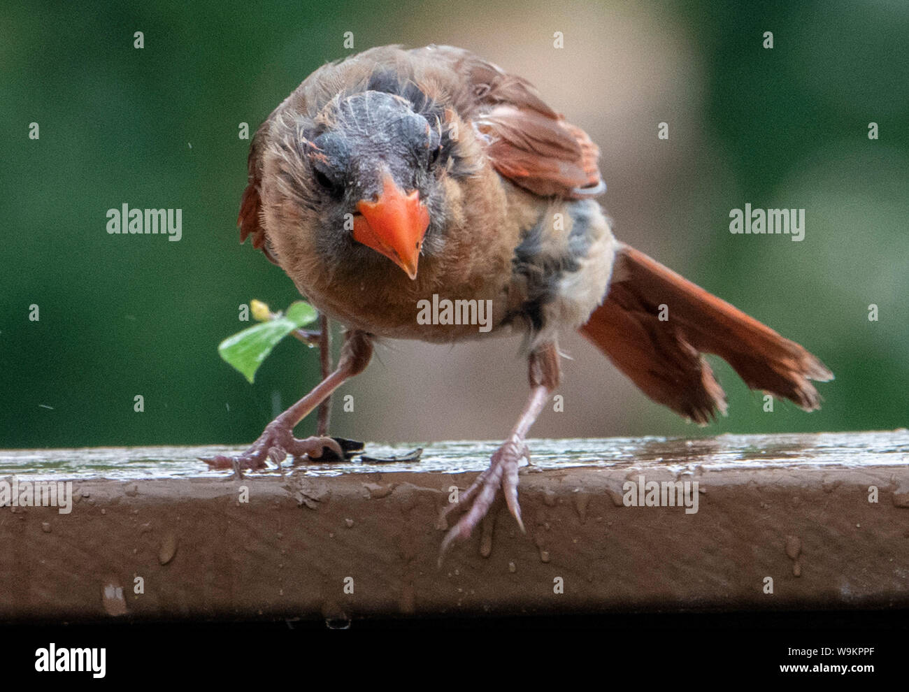 Checking you out hi-res stock photography and images - Alamy