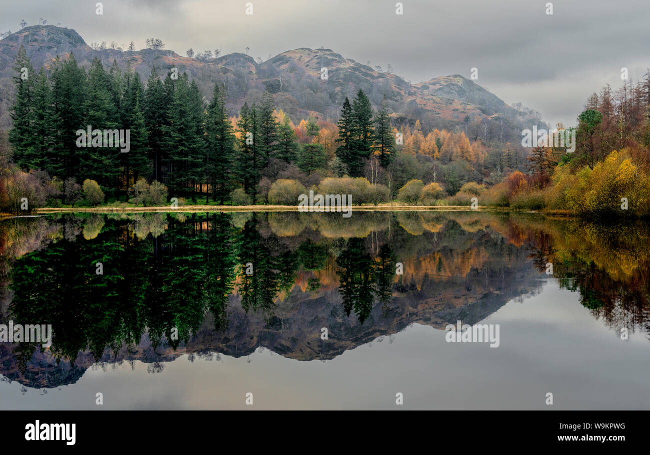 Yew Tree Tarn Stock Photo - Alamy