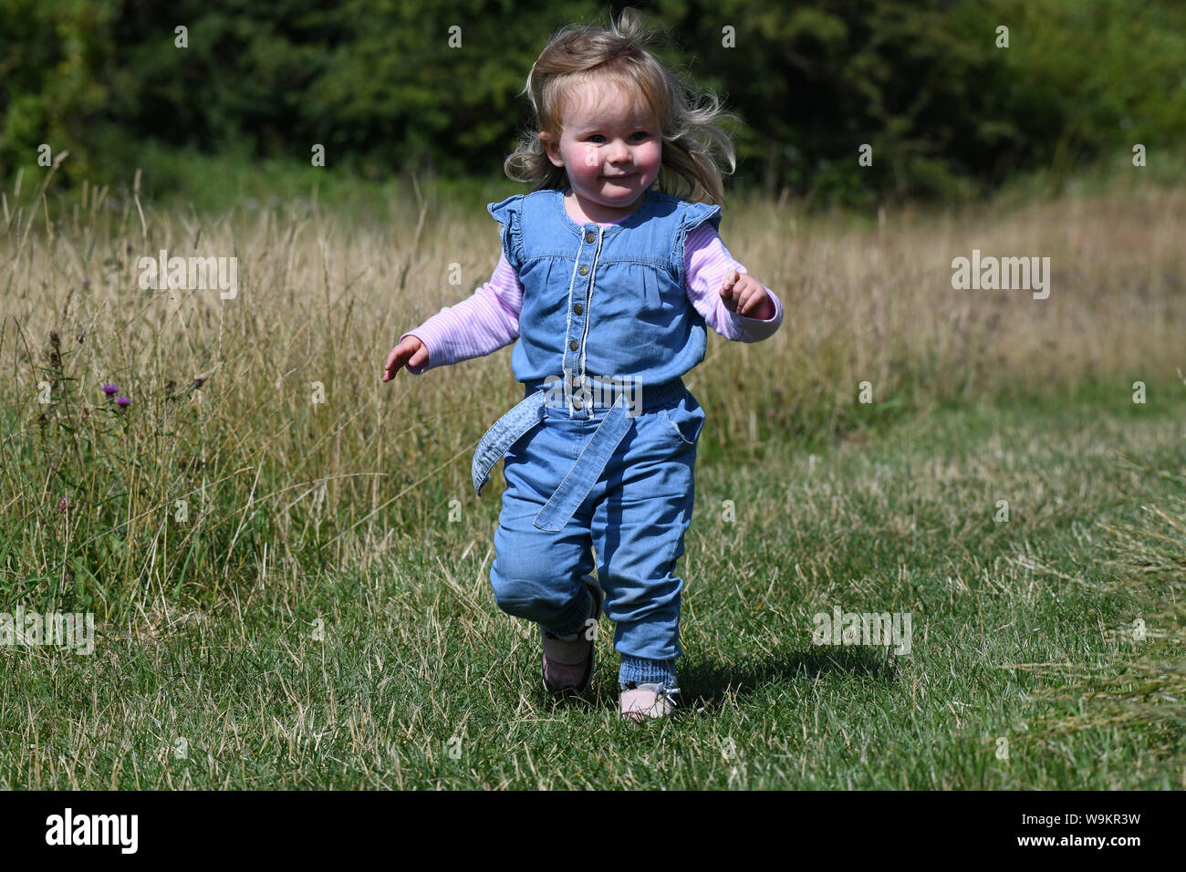 Toddler baby girl running in grass meadow Uk Stock Photo - Alamy