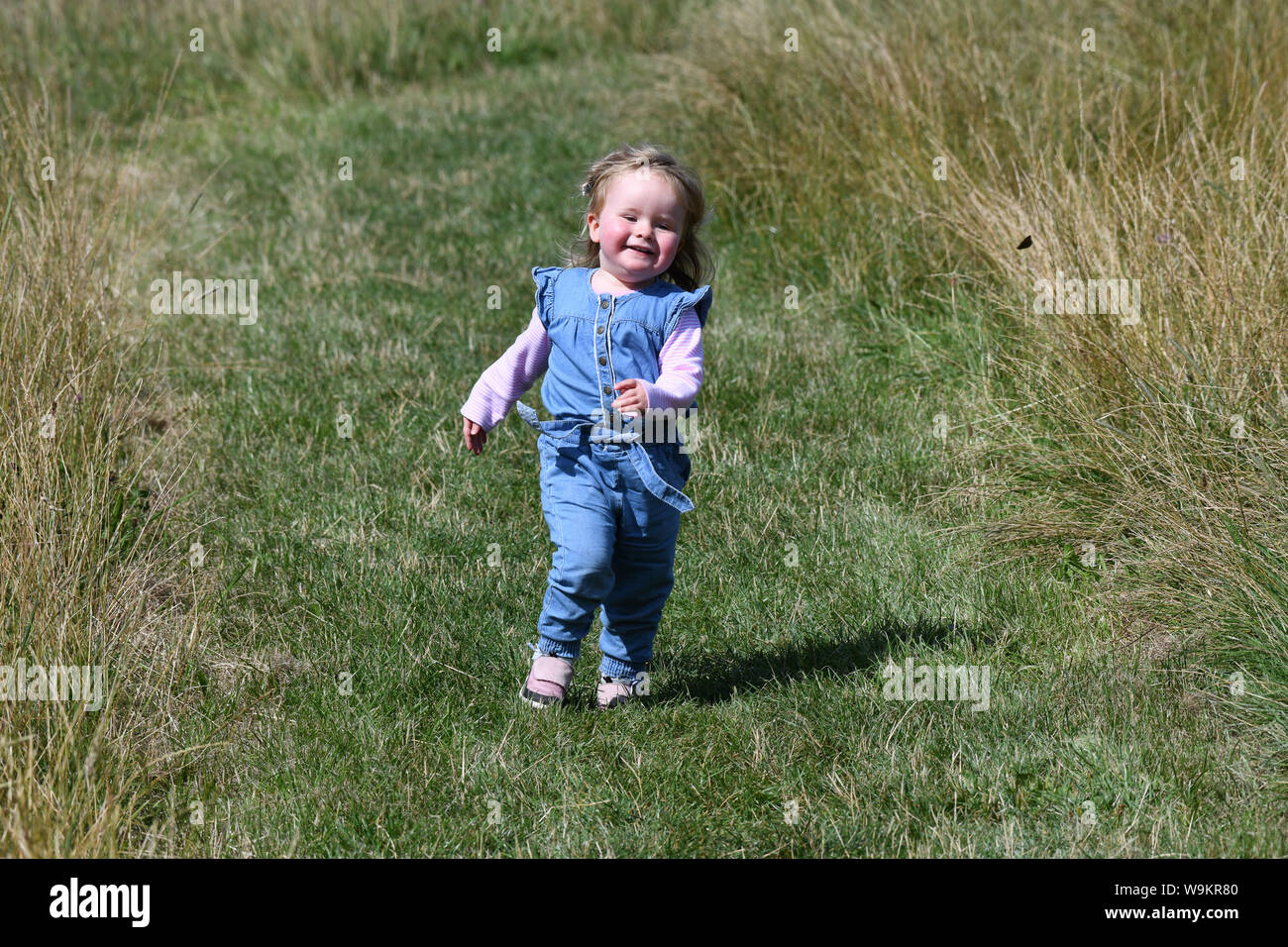 Toddler baby girl running in grass meadow Uk Stock Photo - Alamy