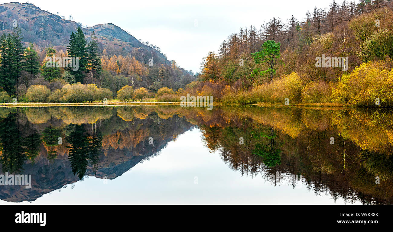 Yew Tree Tarn Stock Photo - Alamy