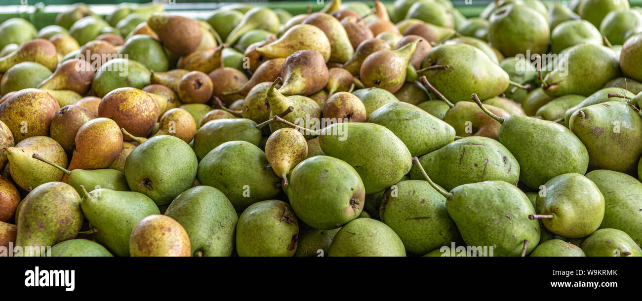 Pear tree in container hi-res stock photography and images - Alamy