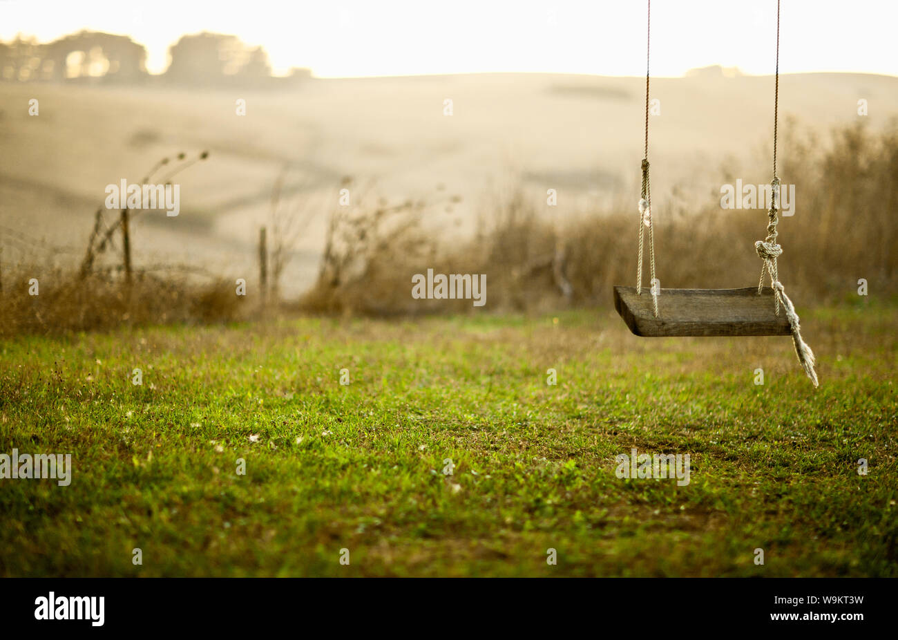 View of tree swing on the field Stock Photo - Alamy
