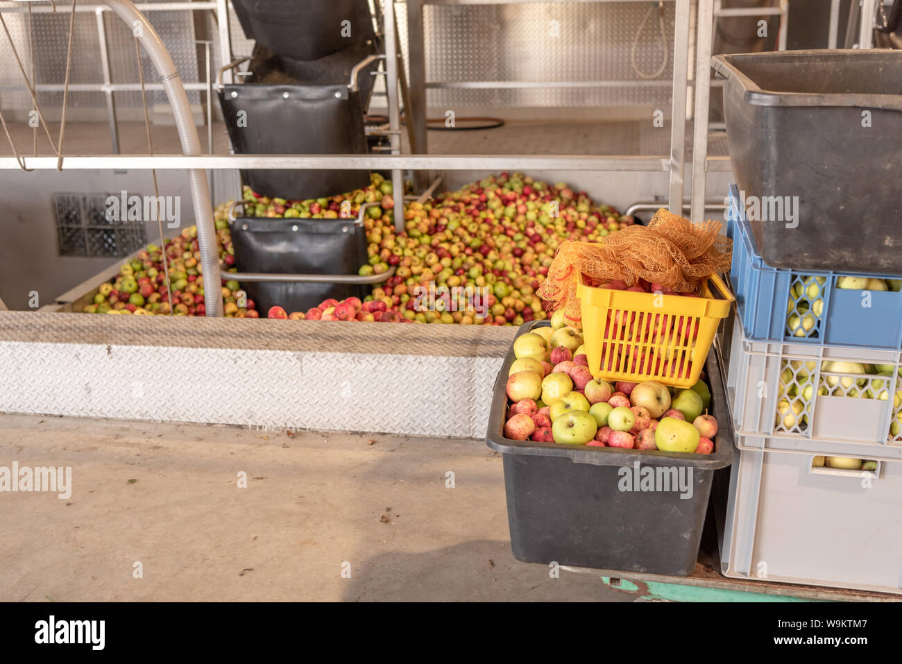 Apple harvesting equipment hi-res stock photography and images - Alamy