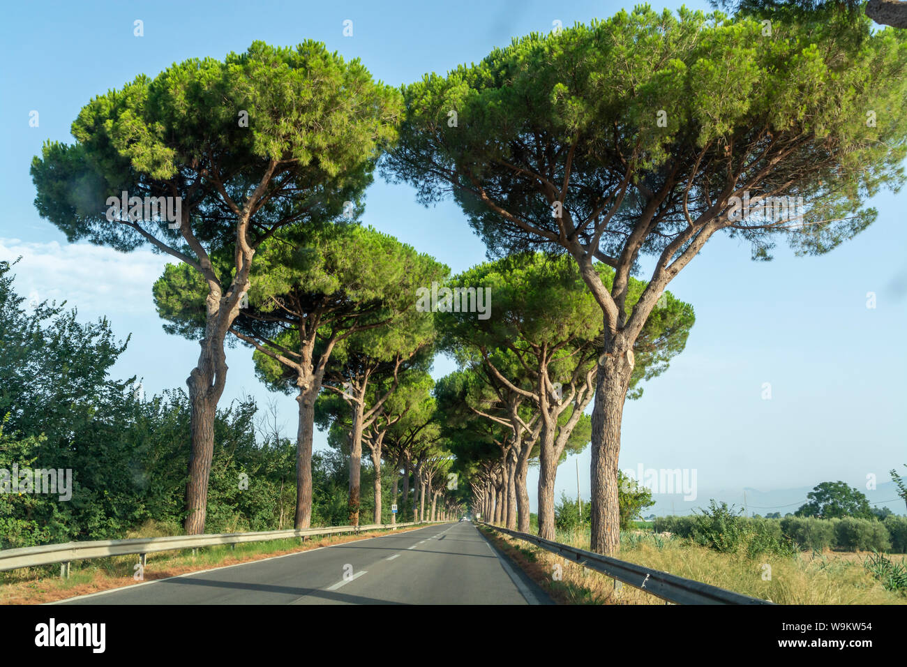 Scenic driving on new via Appia road S7 with high green mediterranean ...