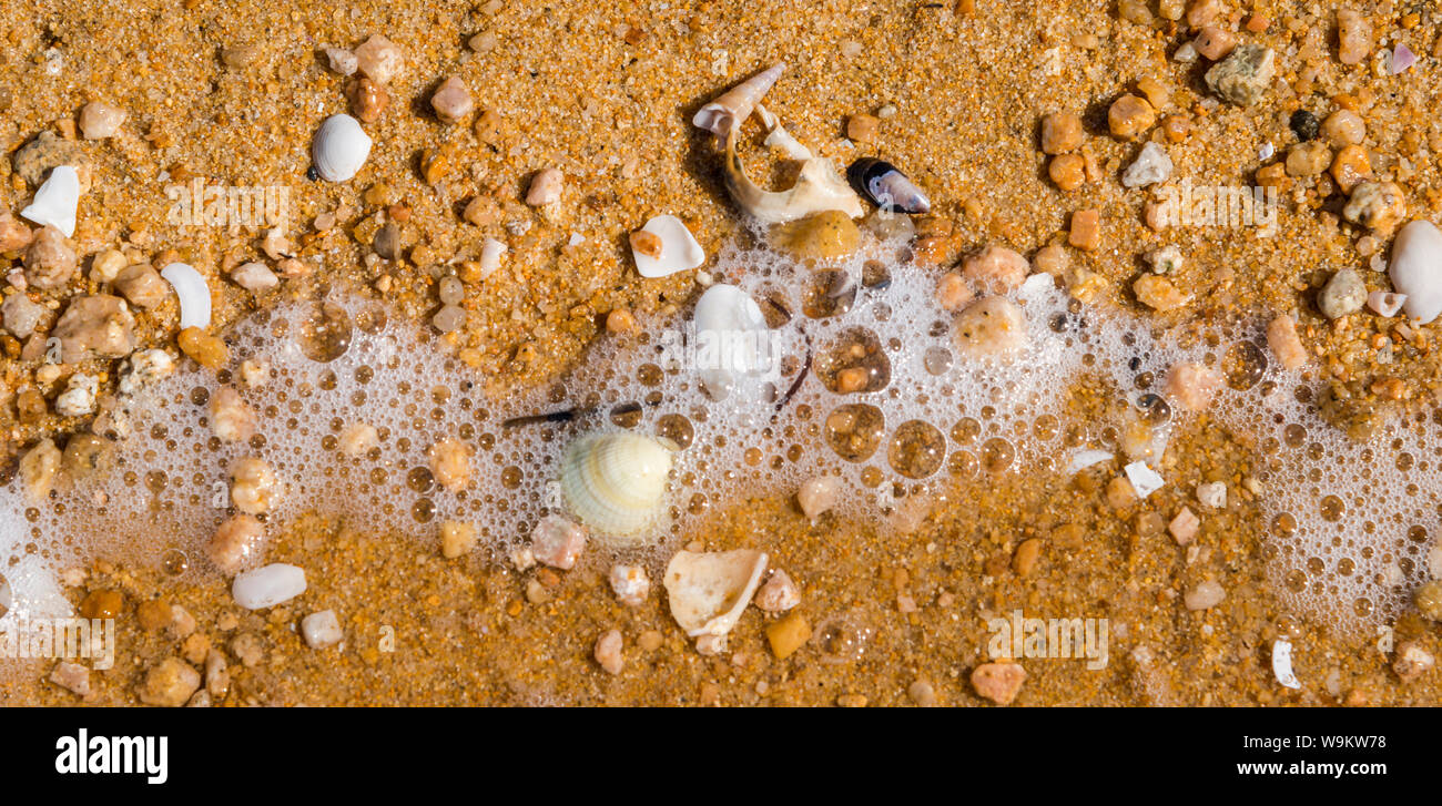 Pebbles on beach new zealand hi-res stock photography and images - Alamy