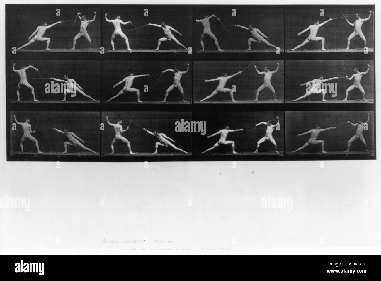 Science plate Black and White Stock Photos & Images - Alamy