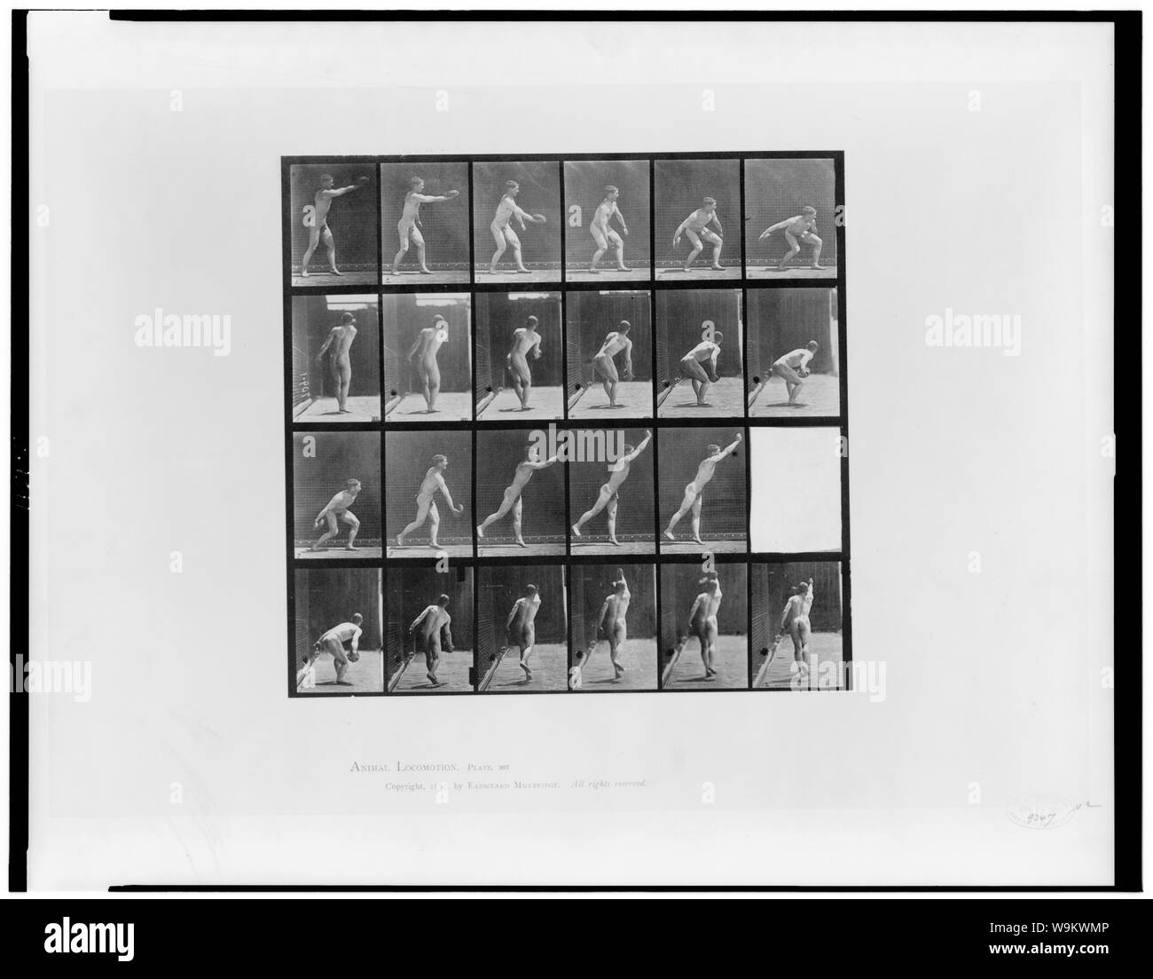 Locomotion types hi-res stock photography and images - Alamy