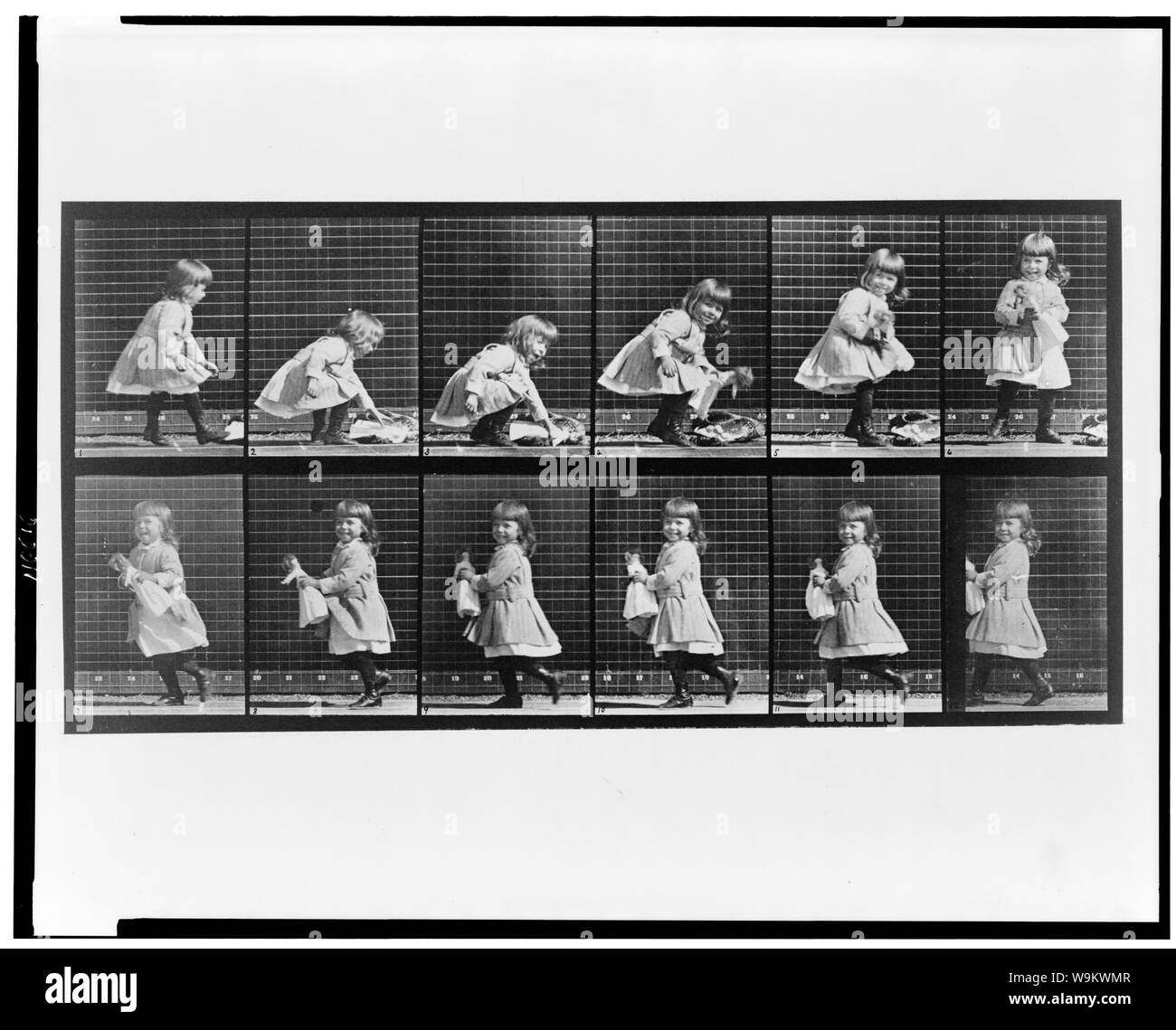 Locomotion system hi-res stock photography and images - Alamy