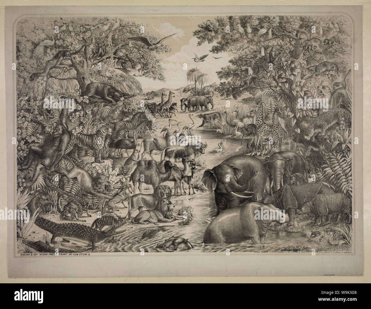 Animals for noahs ark hi-res stock photography and images - Alamy