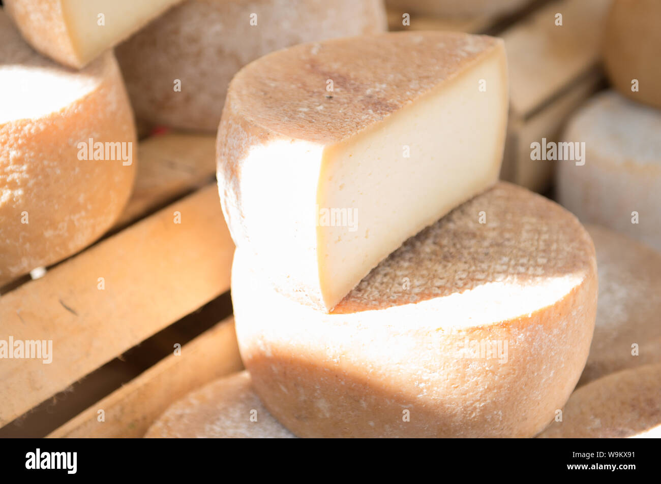 Sheep's milk cheese Stock Photo - Alamy