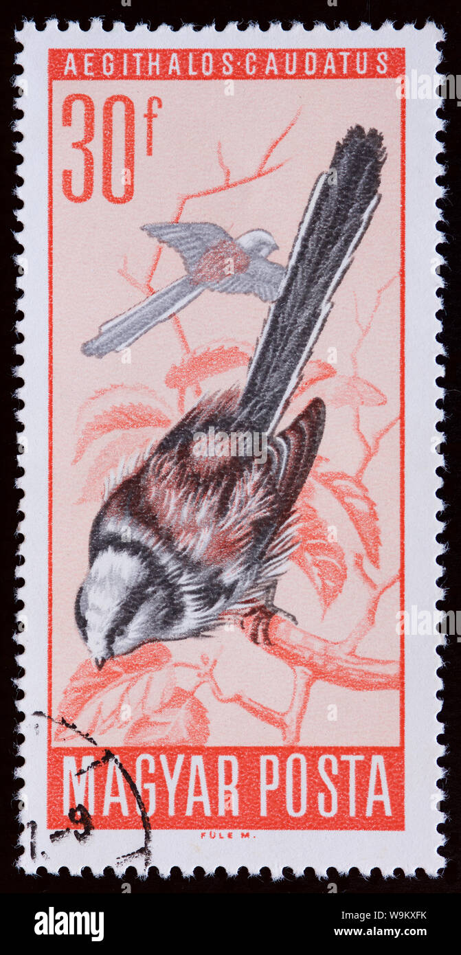 Hungary Postage Stamp - Birds Stock Photo - Alamy