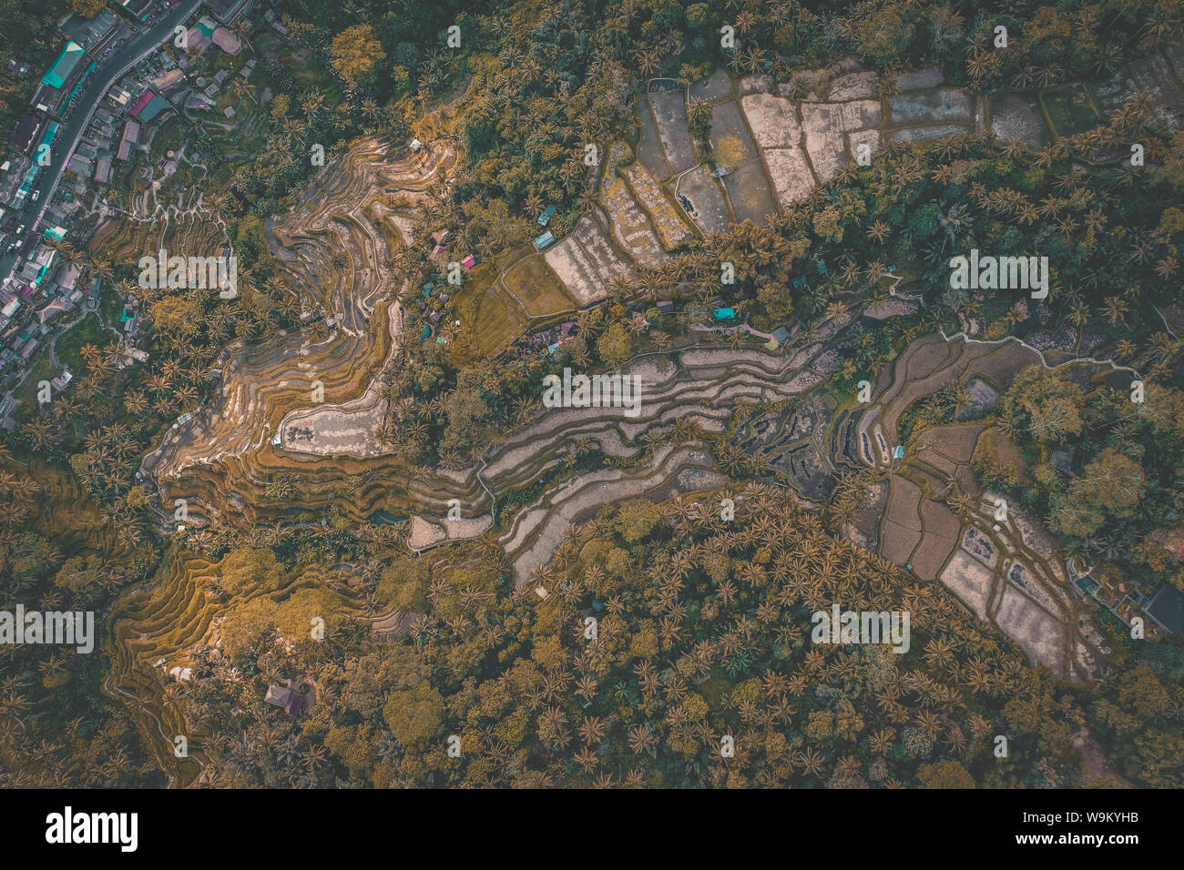 Tegallalang Rice Terraces from above, in Ubud, Bali, Indonesia Stock ...