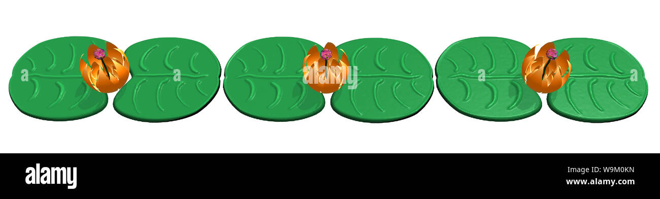 Illustration of lily flower in lily pads as a border Stock Photo - Alamy